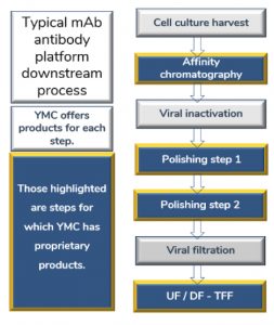 Monoclonal Antibodies (mAbs) | YMC America