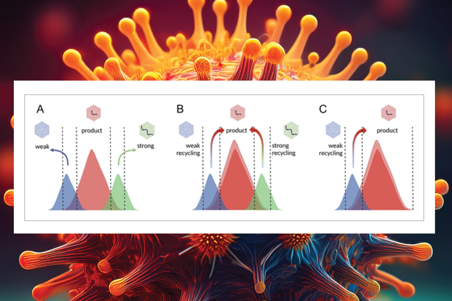 Enrichment of Full AAV2 Using Multicolumn Countercurrent Solvent ...